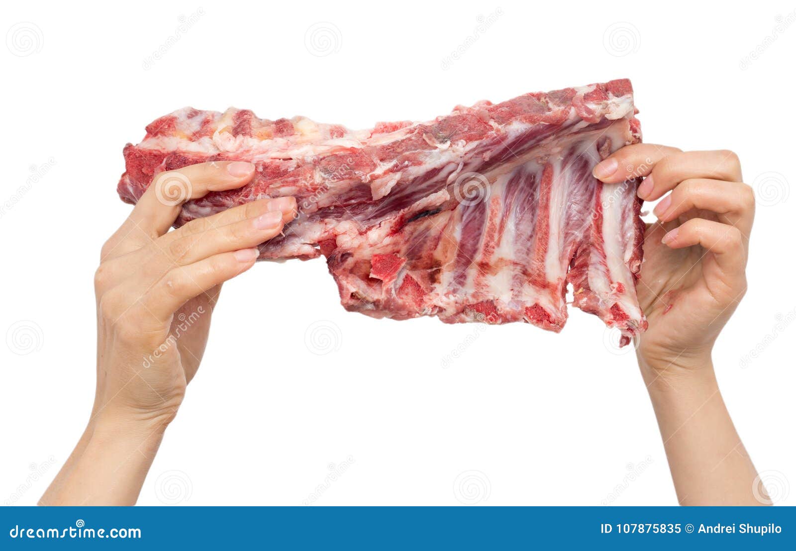 Fresh Meat in Hand on a White Background Stock Image - Image of ...