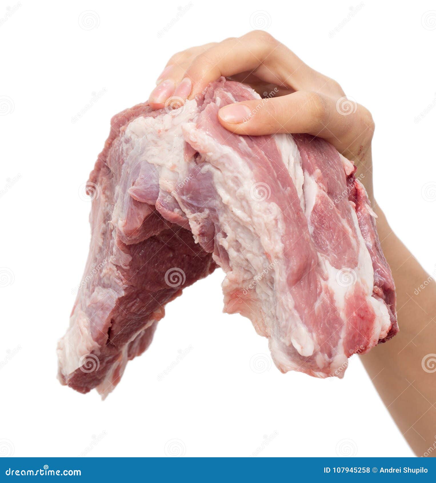 Fresh Meat in Hand on a White Background Stock Photo - Image of retail ...
