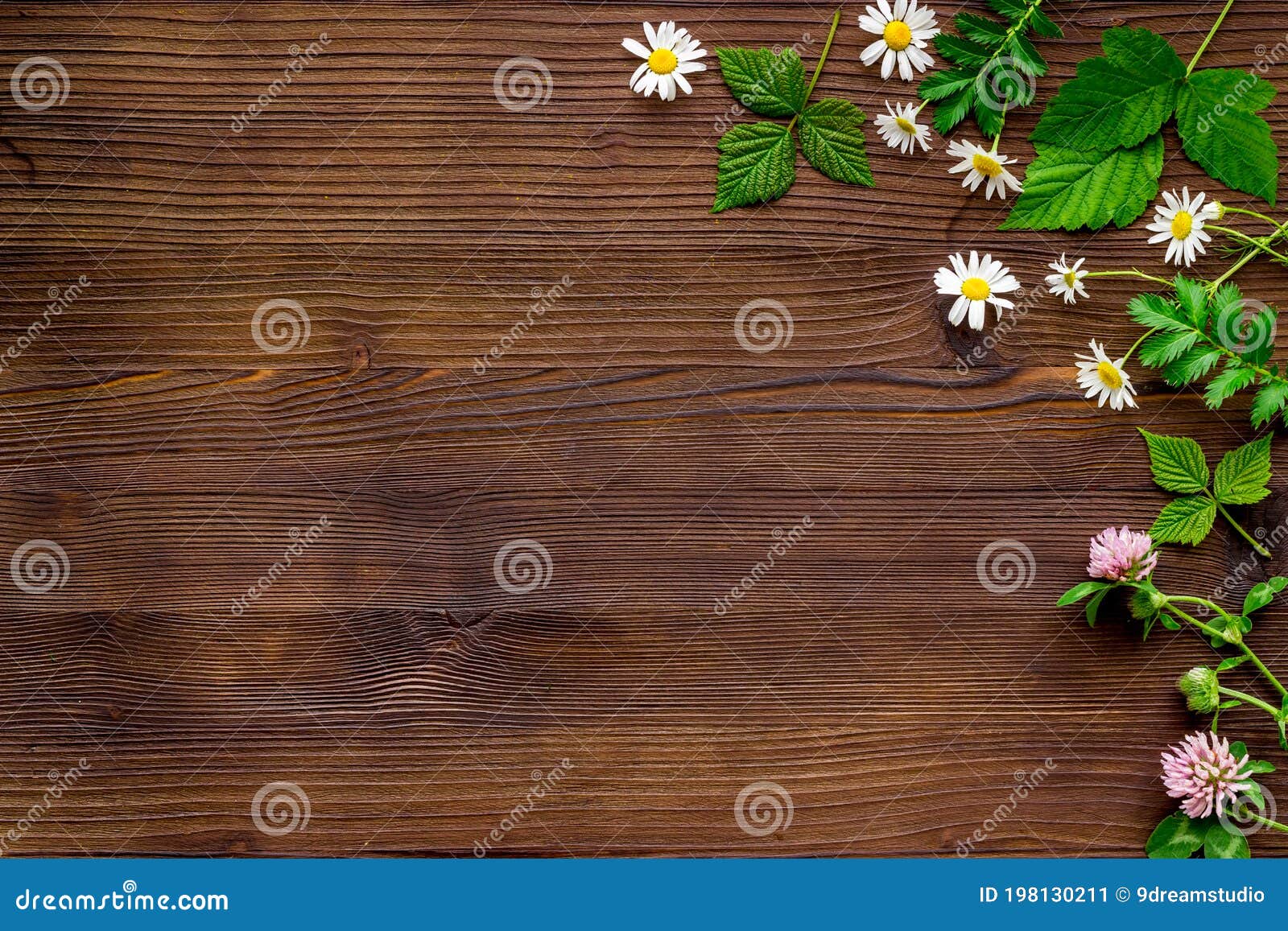 Fresh Medicinal Herbs and Wild Flowers Top View Stock Image - Image of ...