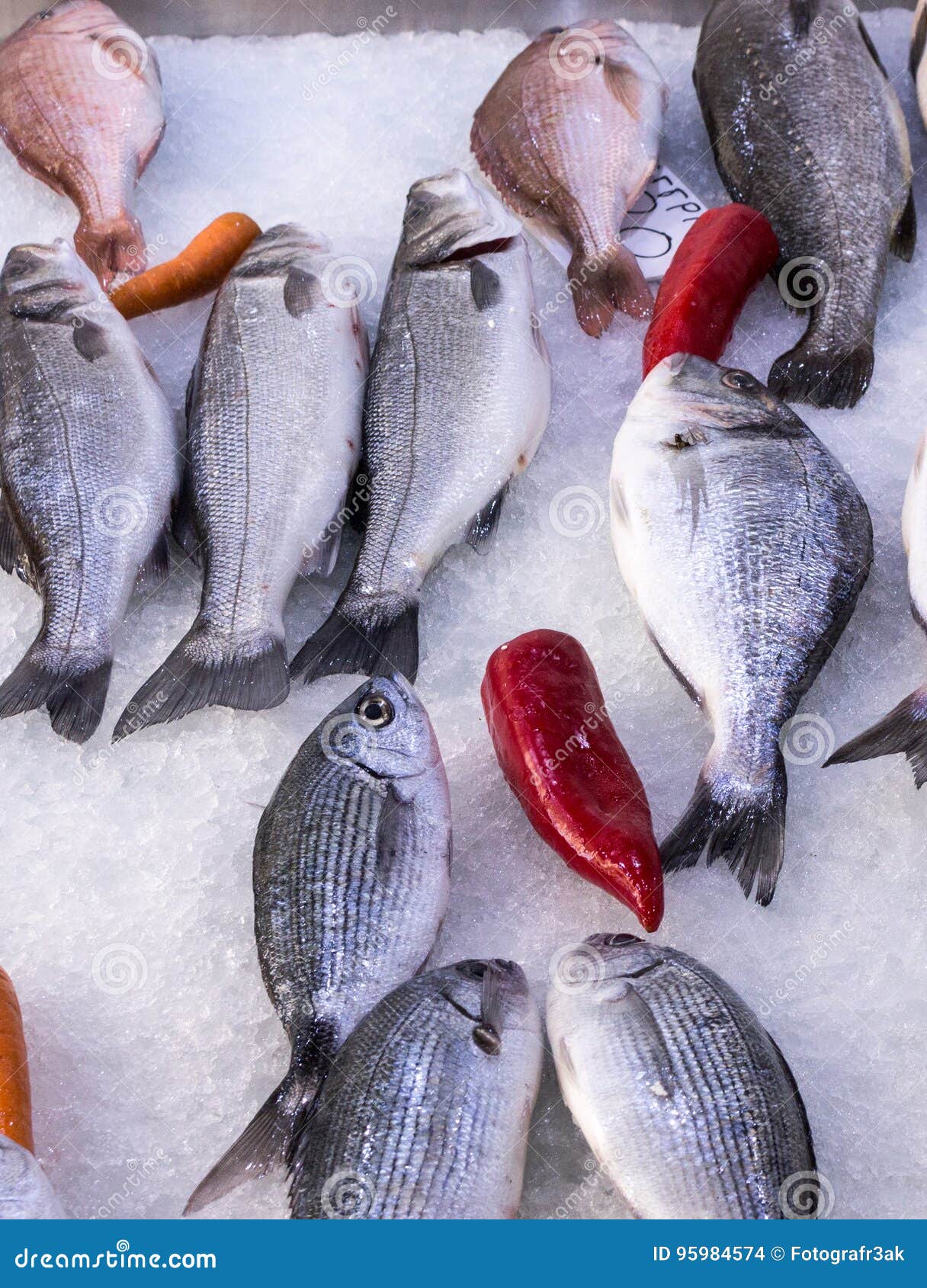 Fresh Mediterranean Fish on Market in Ice 2 Stock Photo - Image of fish ...