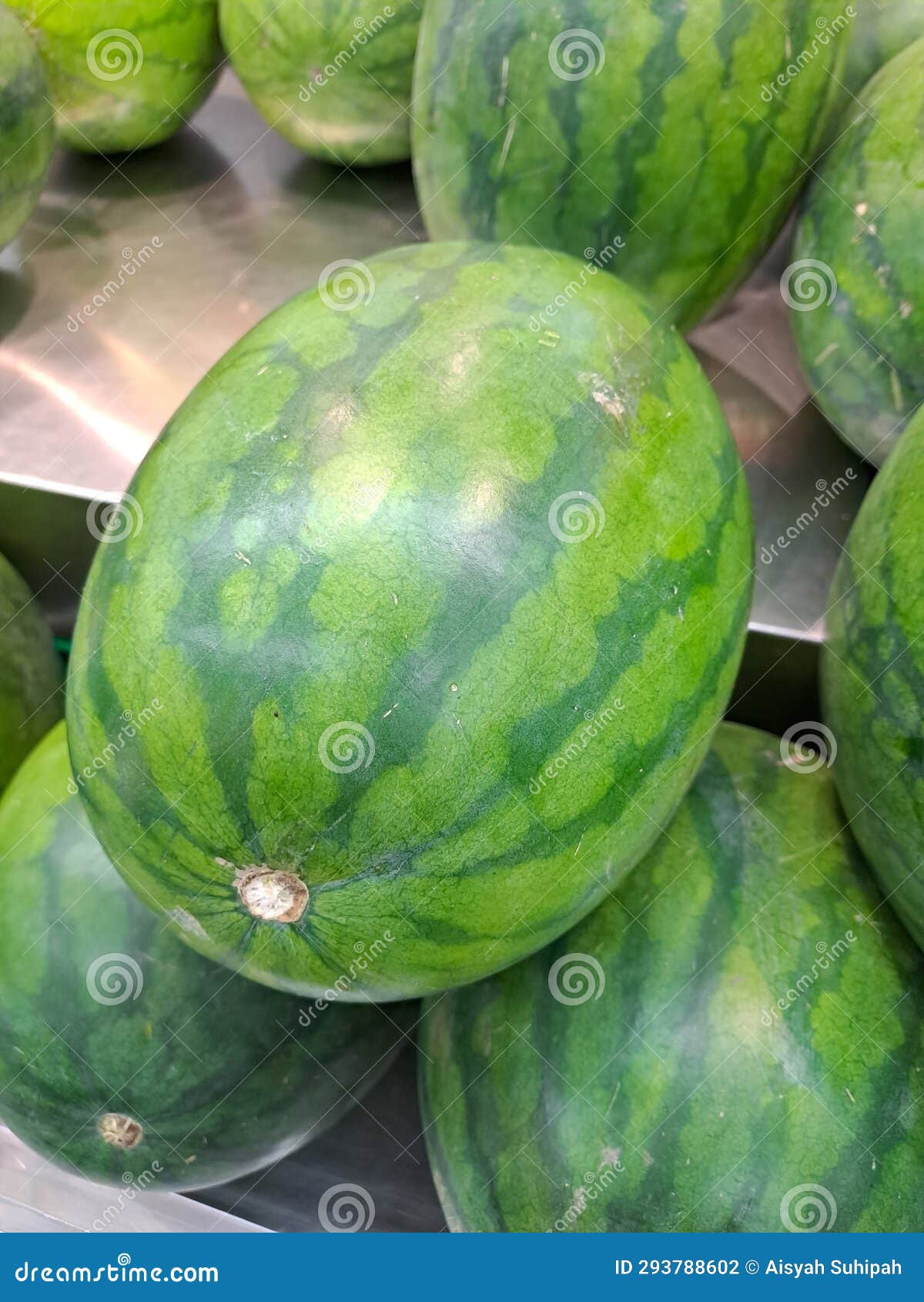 Fresh Medium Sized Watermelon Stock Photos - Free & Royalty-Free Stock ...