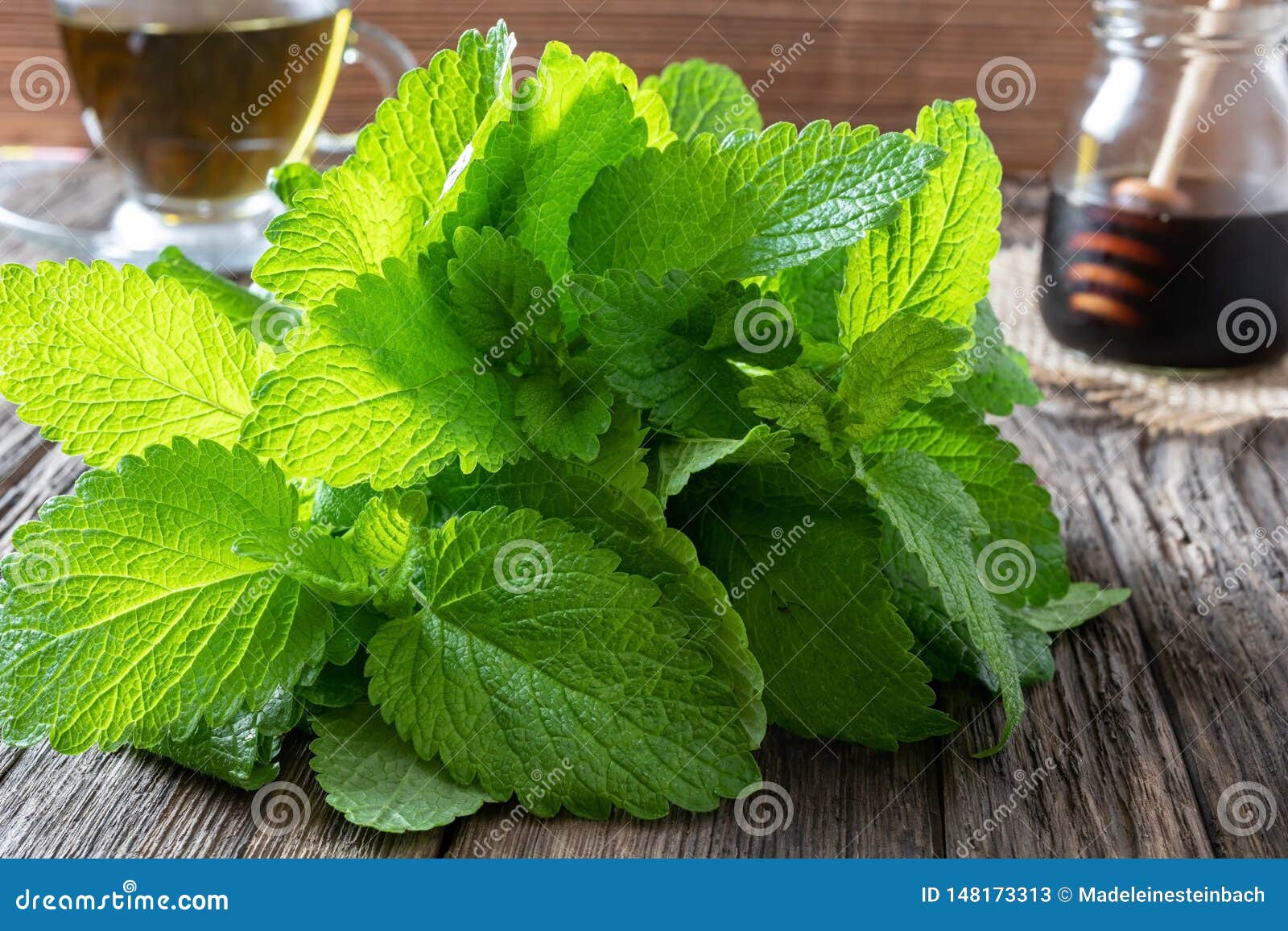 Fresh Melissa Leaves Isolated On White Background. Green Melissa Herb ...