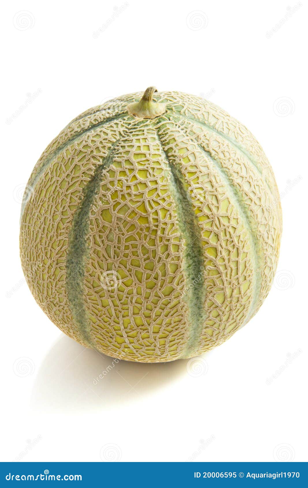 Fresh melon stock image. Image of food, agriculture, pattern - 20006595
