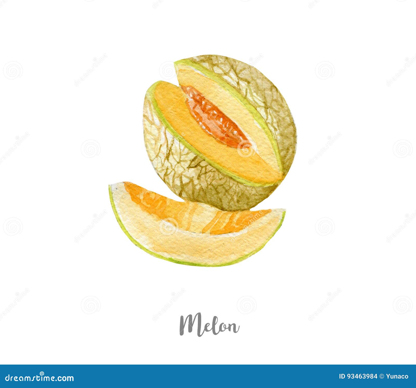 Melon Illustration For Coloring Book Template, Melon For Kids Worksheet ...