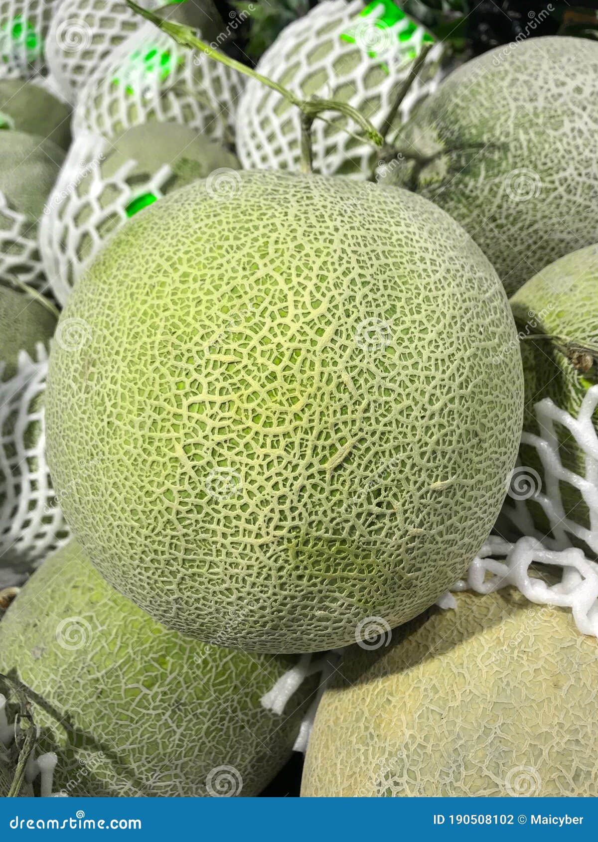 Fresh Melon Netting Texture in the Fruit Market Stock Photo - Image of ...