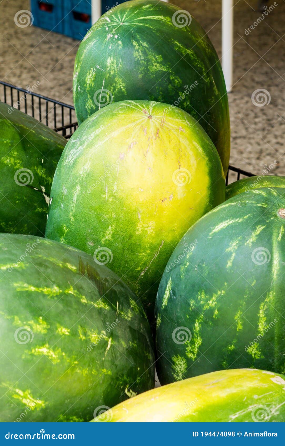 Fresh Melon at the Weekly Market Stock Photo - Image of food, nature ...