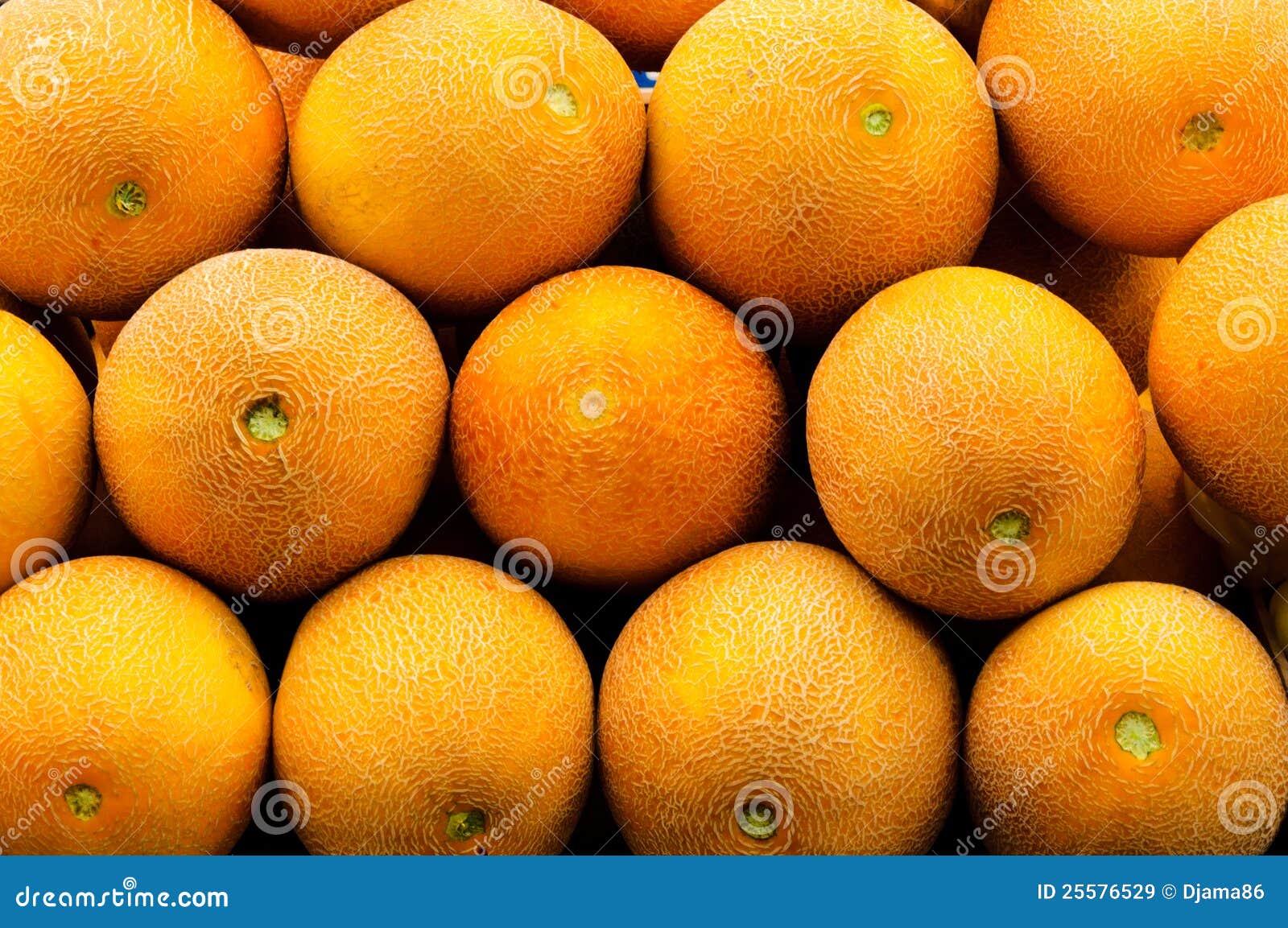 Fresh melons stock image. Image of market, season, seasonal - 25576529