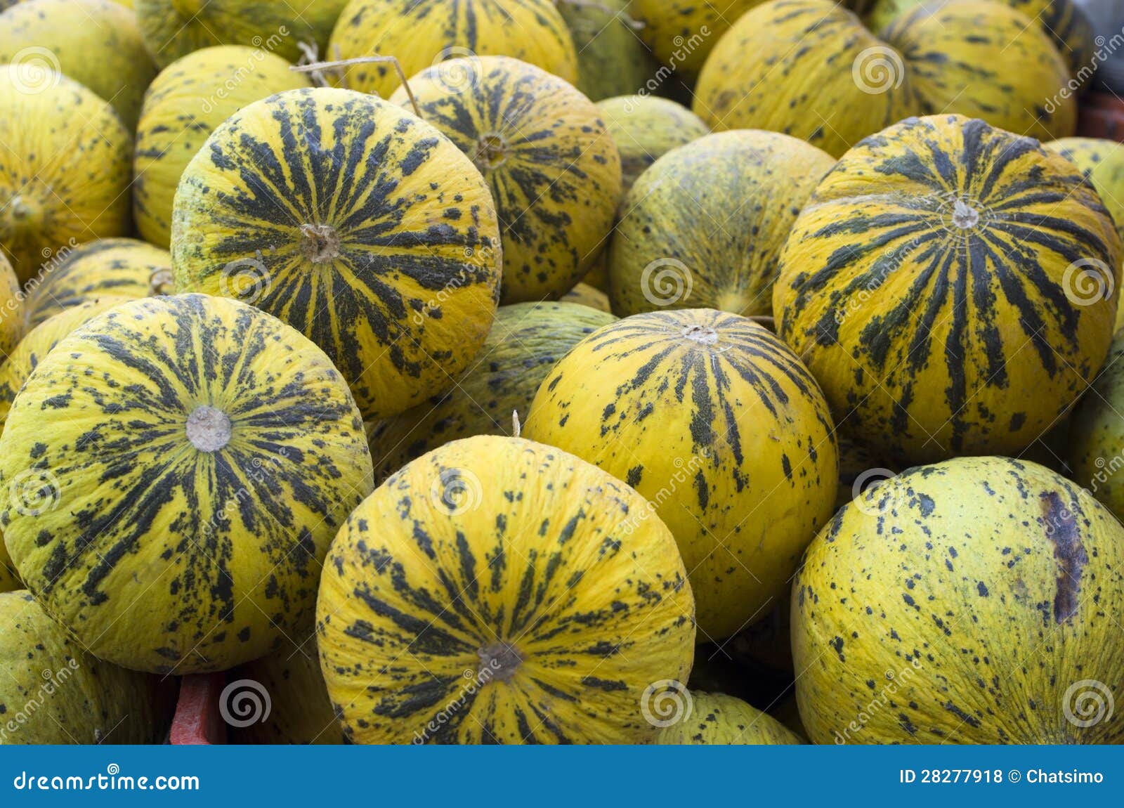 Fresh Melons in Open Market Stock Photo - Image of ecological, open ...
