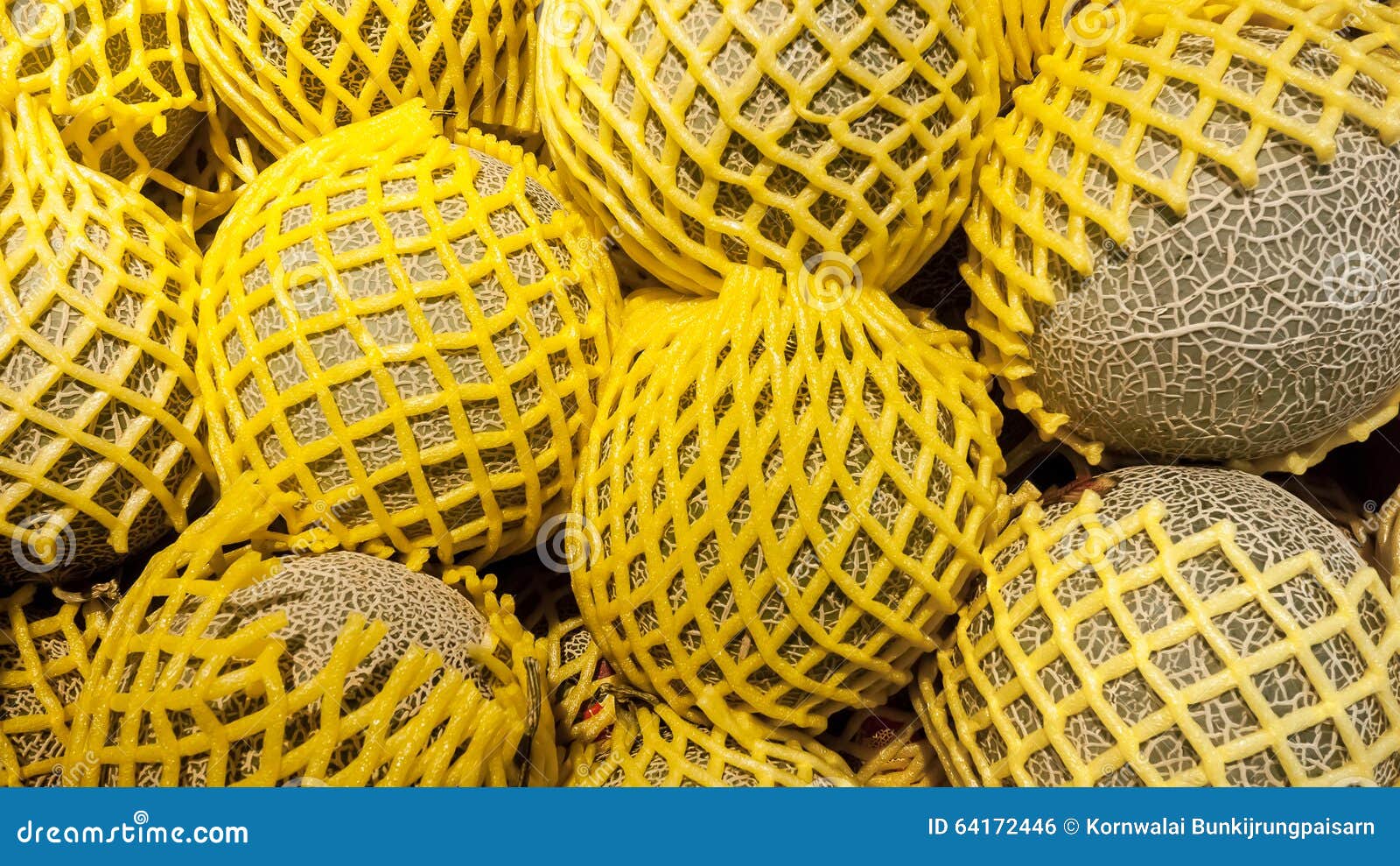 Fresh Melons Wrapped with Yellow Mesh Stock Photo - Image of ...