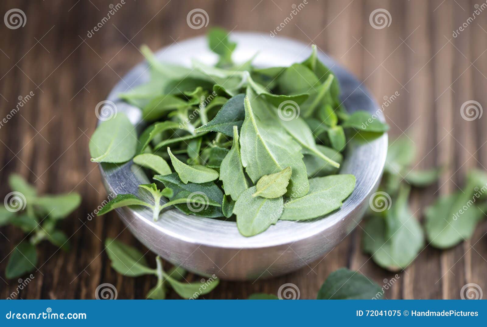 Fresh Menthol Leaves (selective Focus) Stock Image - Image of leaves ...