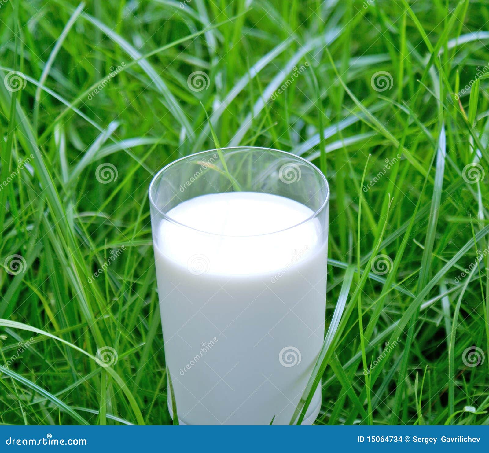 Fresh milk stock photo. Image of milky, product, background - 15064734