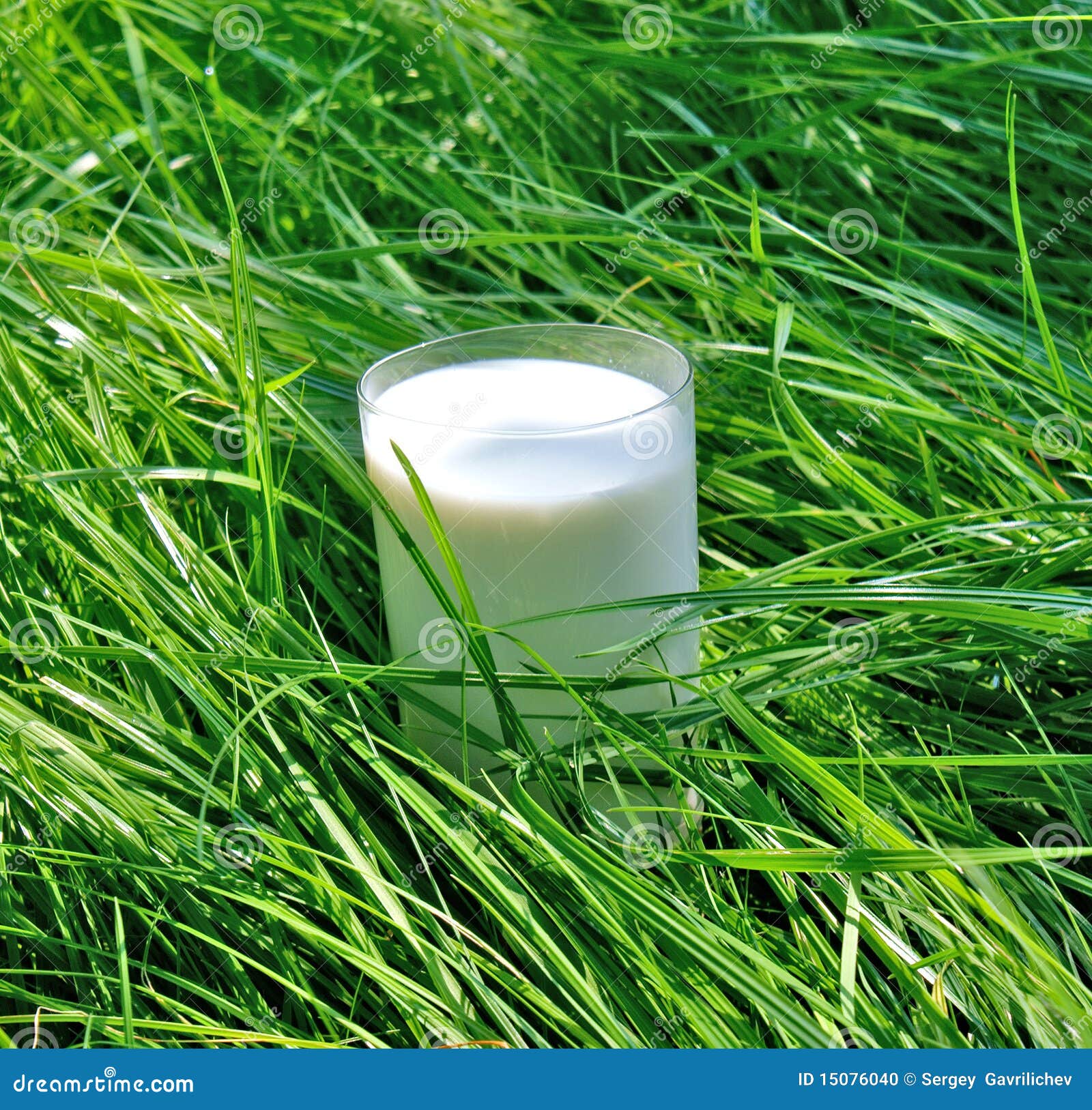 Fresh milk stock photo. Image of background, green, white - 15076040