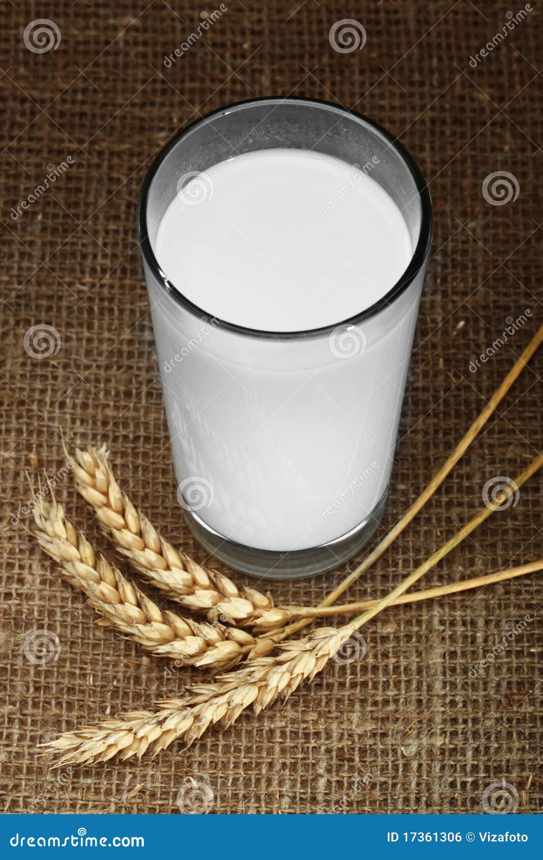 Fresh Milk stock photo. Image of chilled, ears, freshness - 17361306