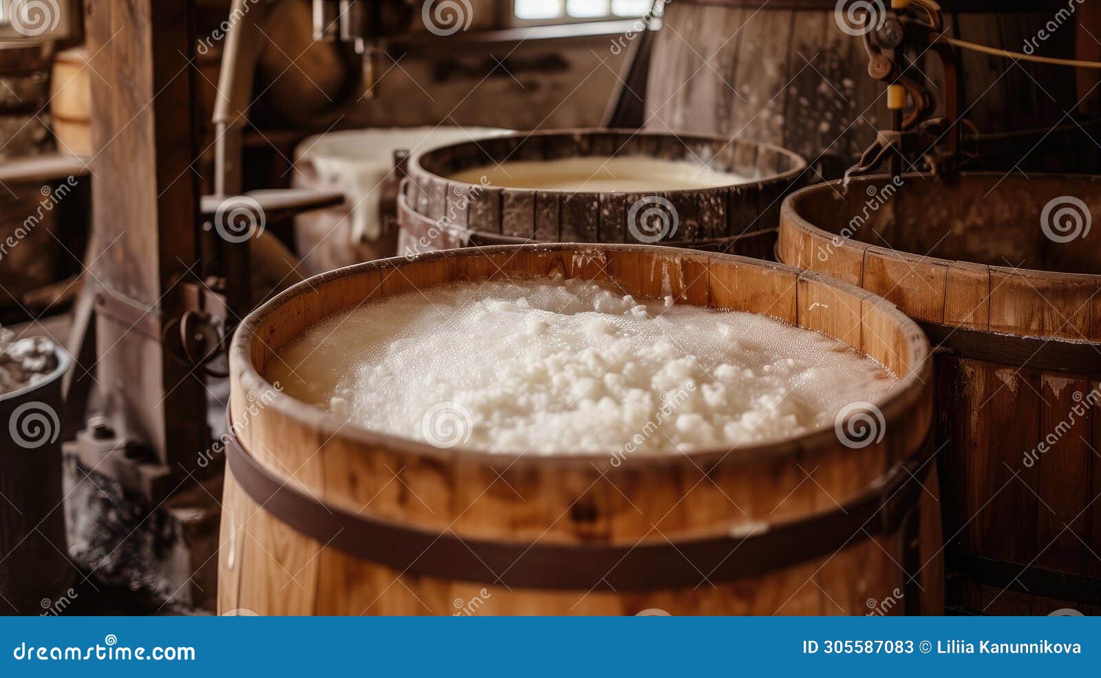 Fresh Milk Curdles in a Wooden Vat Under Precise Temperature Control ...