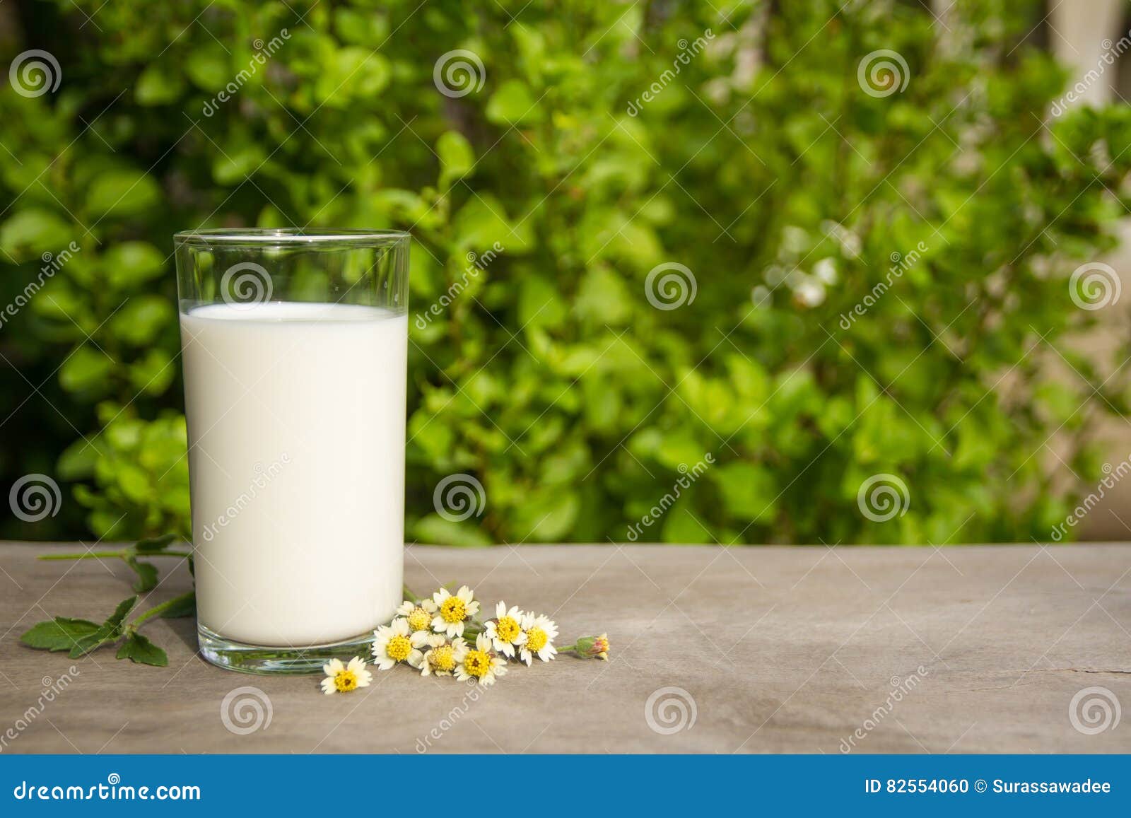 Fresh Milk in the Glass on Nature Background Stock Photo - Image of ...