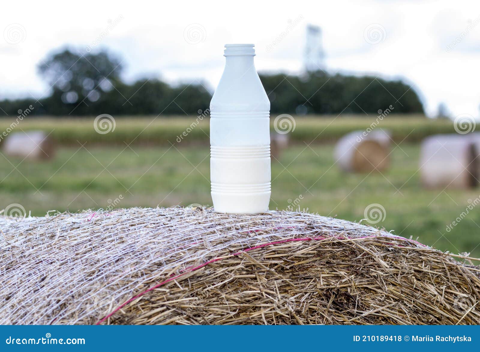 Fresh Milk in a Jar on a Haystack in a Field Stock Photo - Image of ...