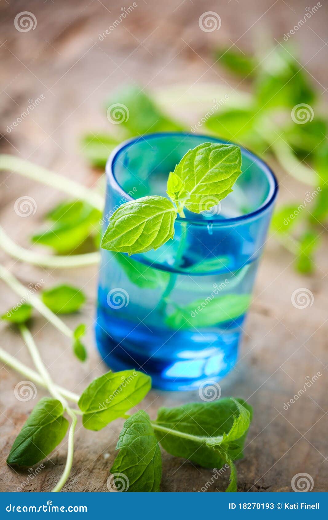 Fresh mint stock image. Image of leaves, herbal, kitchen - 18270193