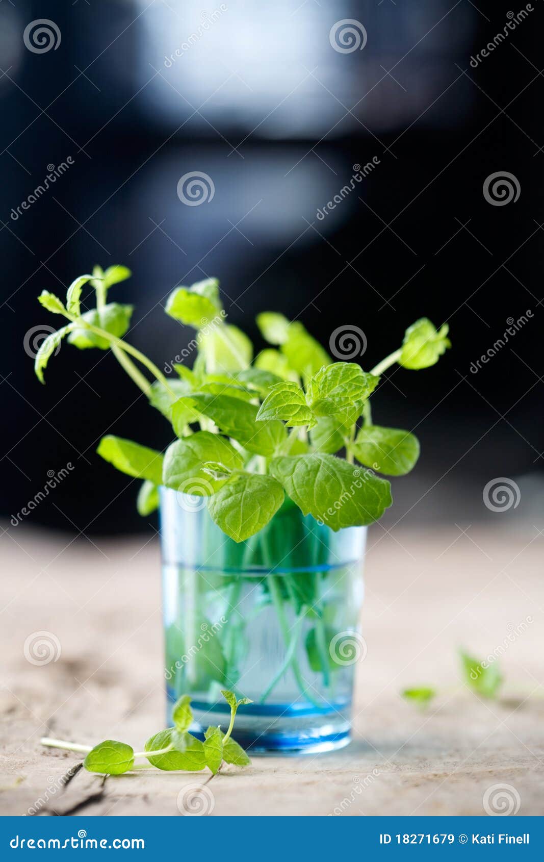 Fresh mint stock image. Image of nature, fragrant, close - 18271679