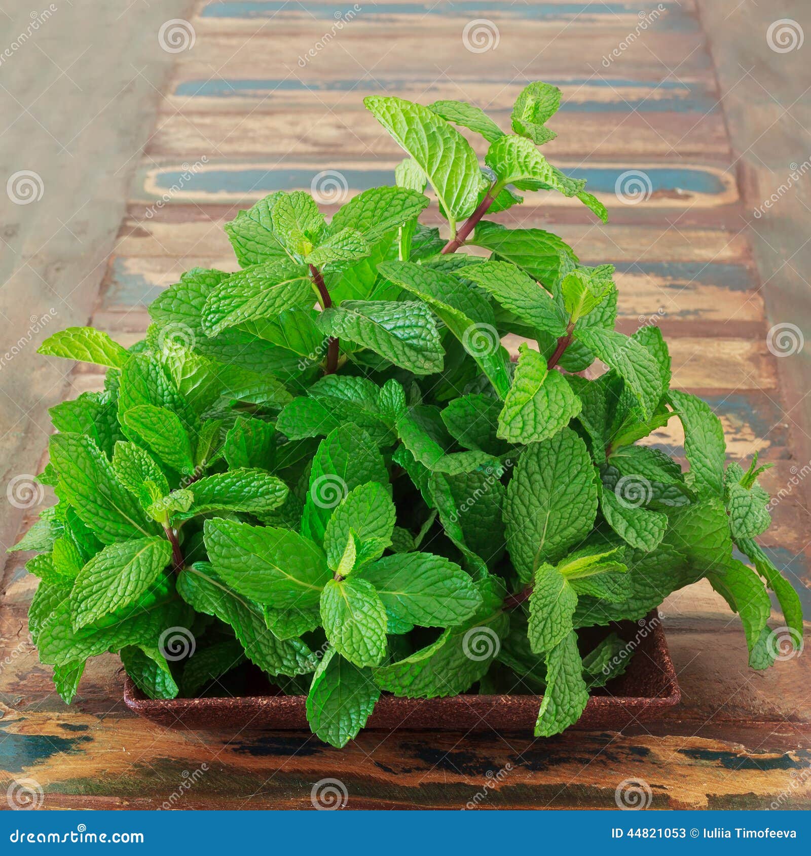 Fresh Mint in Brown Bowl on Wooden Table Stock Image - Image of ...
