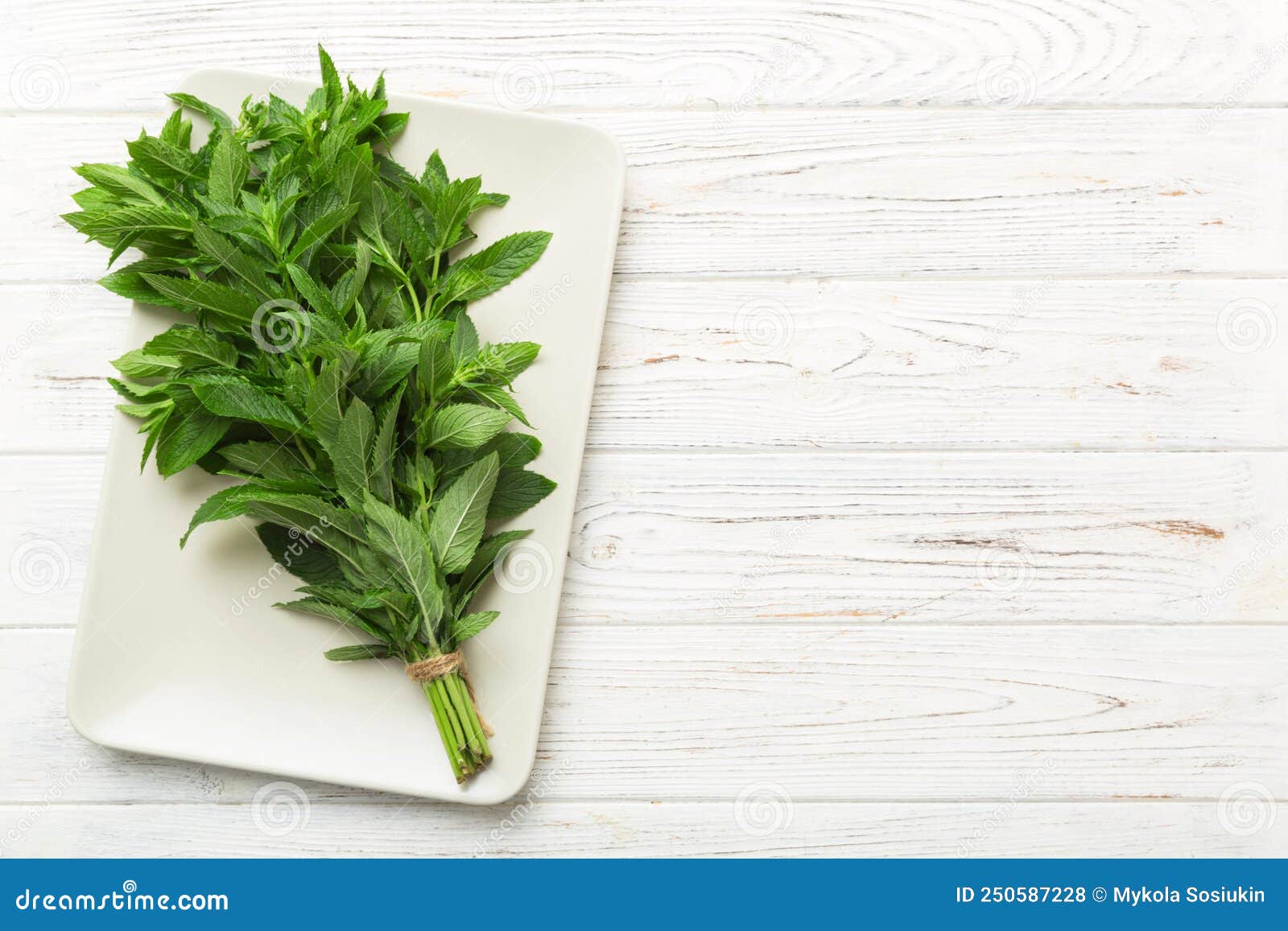 Fresh Mint Bunch on Colored Table. Top View with Copy Space Stock Photo ...