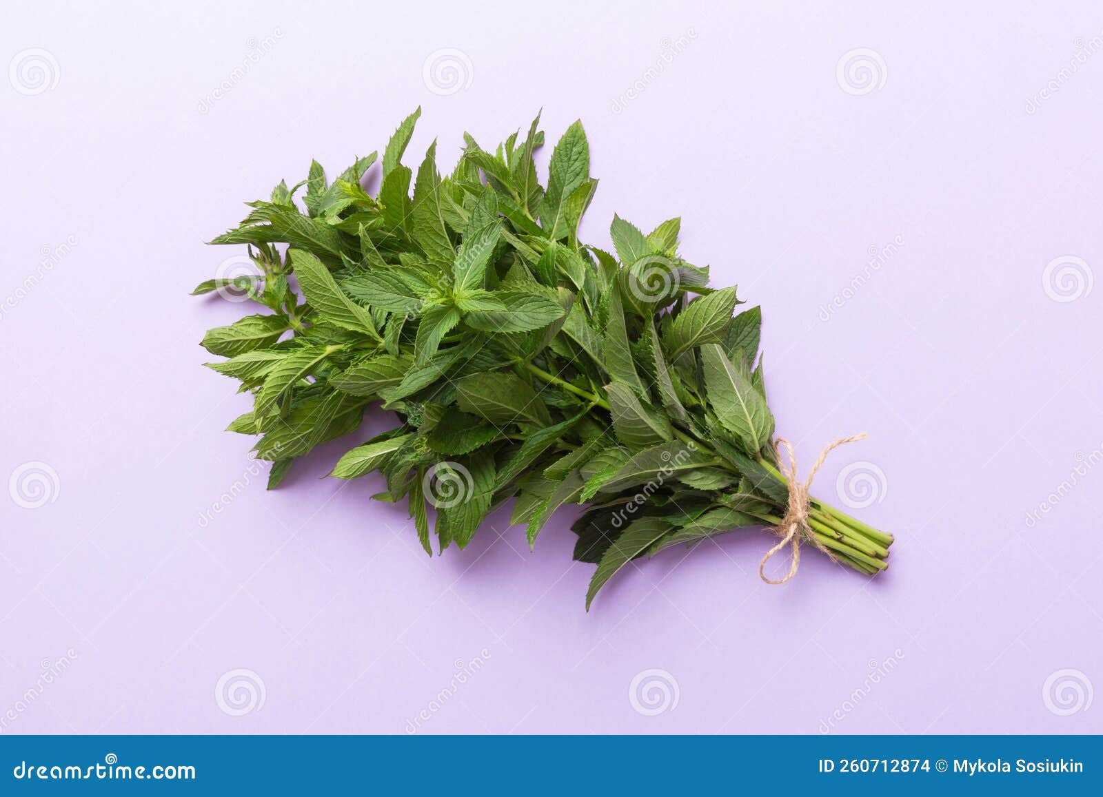 Fresh Mint Bunch on Colored Table. Top View with Copy Space Stock Photo ...
