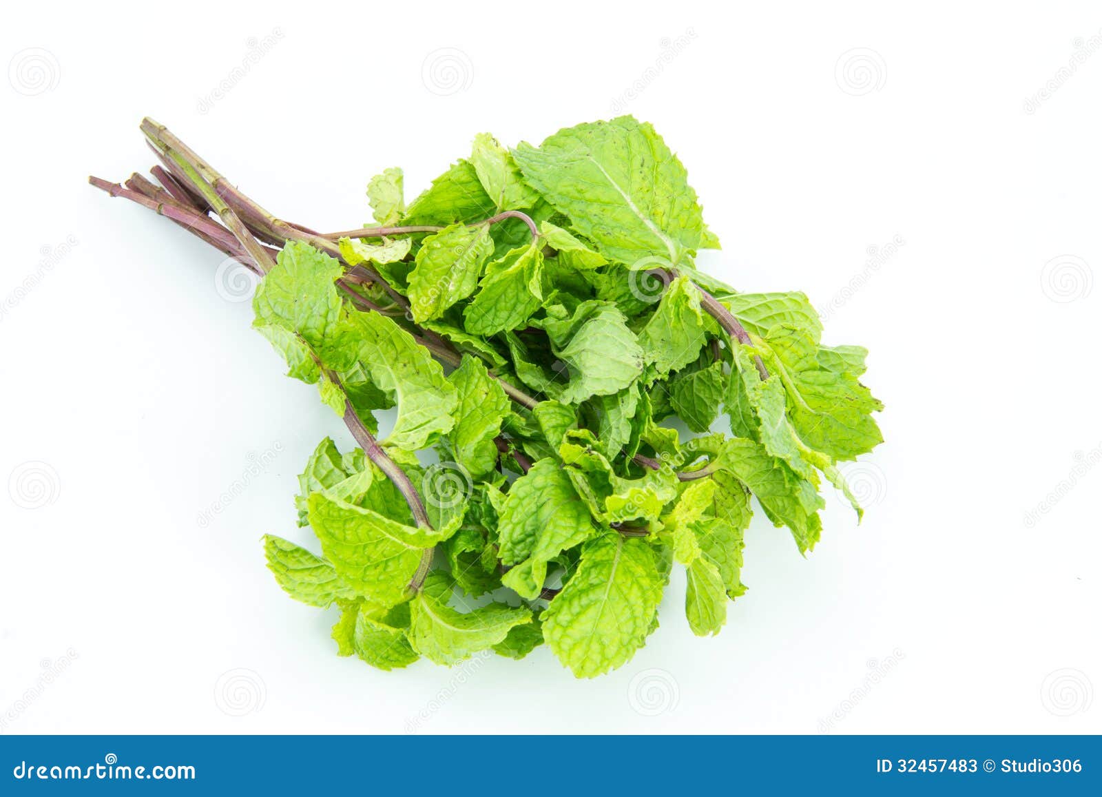 Fresh mint stock image. Image of leaf, details, herbal - 32457483