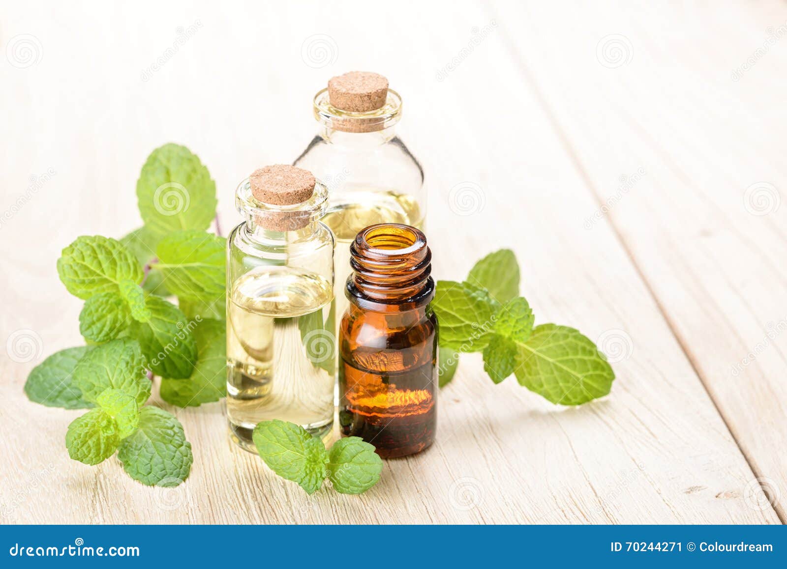 Fresh mint essential oil stock image. Image of green - 70244271