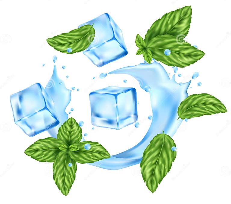 Fresh Mint Illustration in Realistic Style Stock Illustration ...