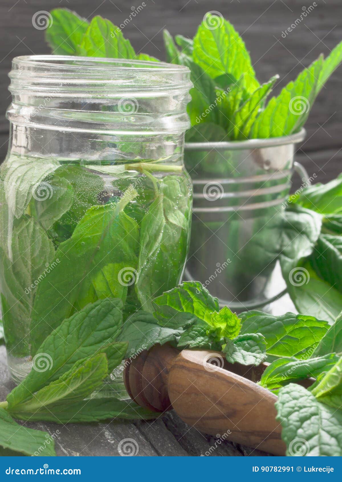 Fresh mint leaves stock image. Image of leaf, healthy - 90782991
