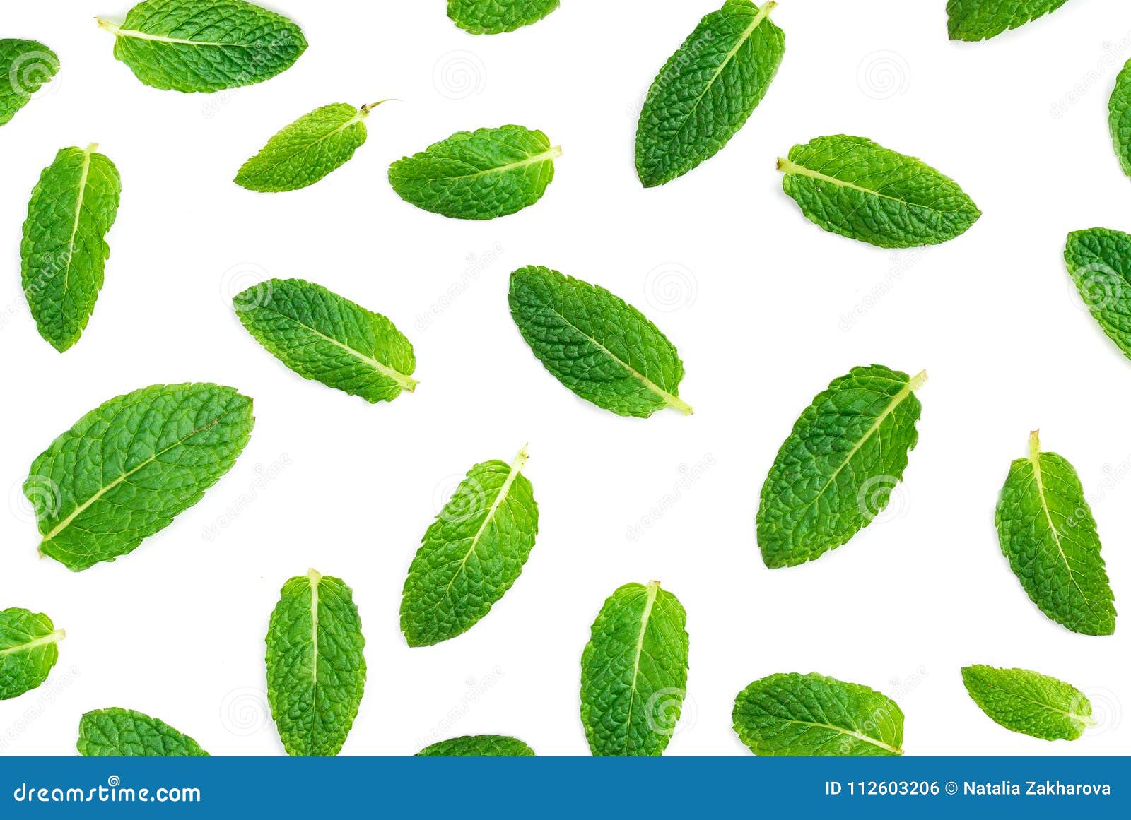 Fresh Mint Leaves Pattern Isolated on White Background, Top View Stock ...