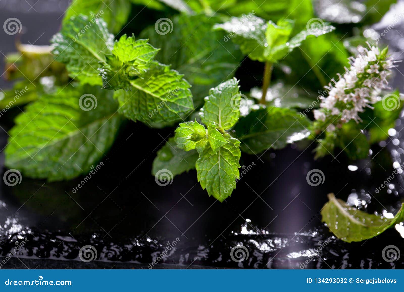 Fresh Mint Leaves Herb on Stone Table. Top View with Copy Space. Stock ...