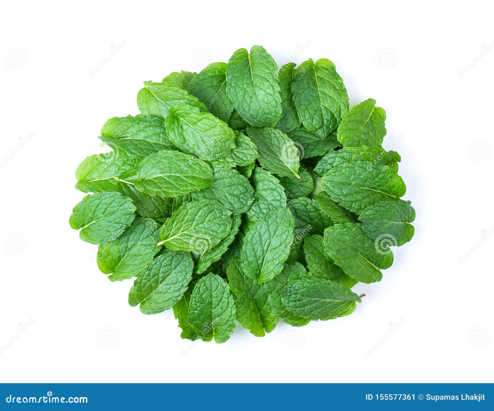 Fresh Mint Leaves Pattern Isolated on White Background. Stock Image ...