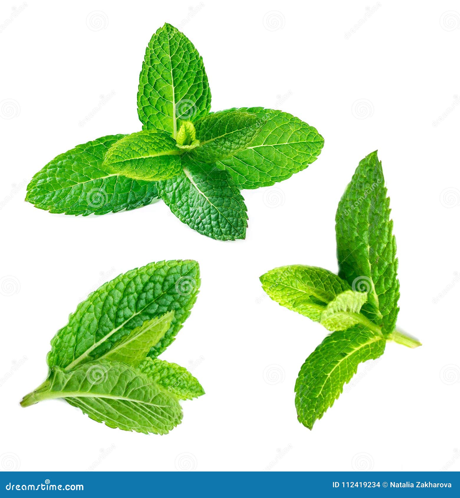Fresh Mint Leaves Pattern Isolated on White Background, Top View Stock ...