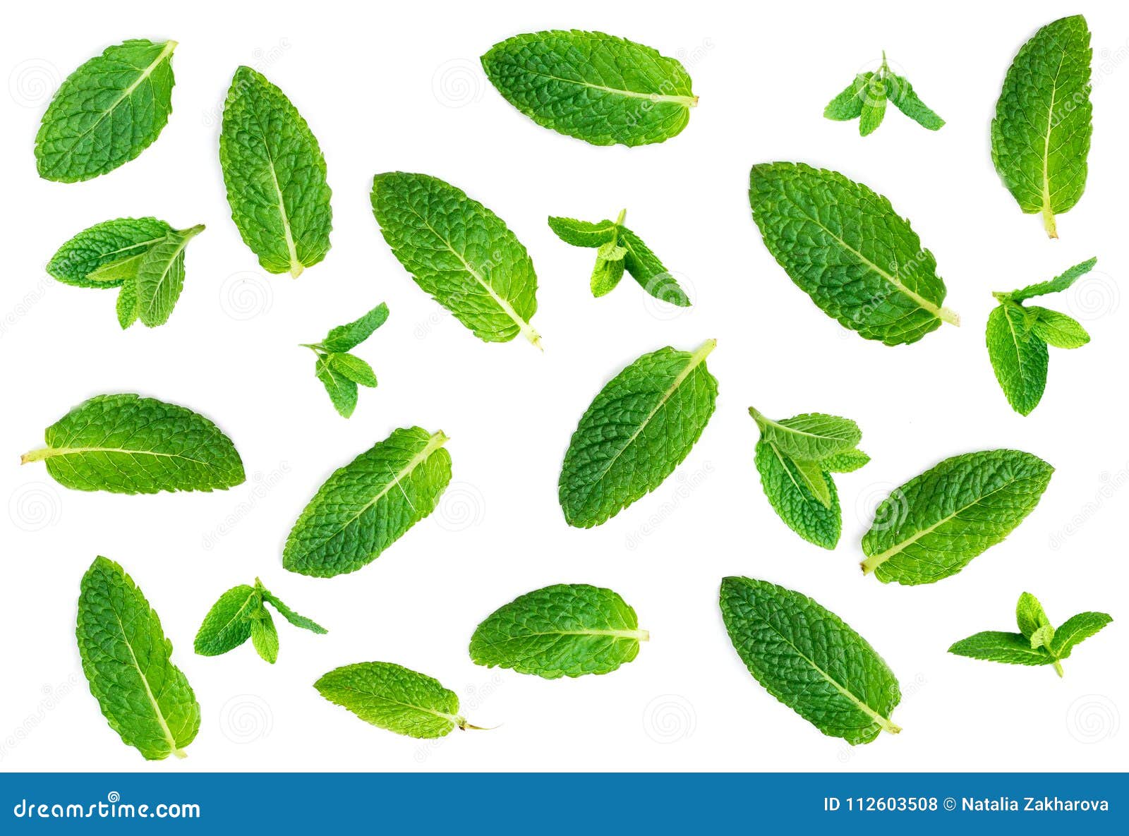 Fresh Mint Leaves Pattern Isolated on White Background, Top View Stock ...