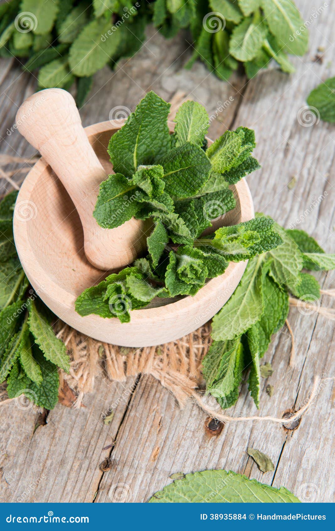 Fresh Mint Leaves stock photo. Image of health, aromatic - 38935884