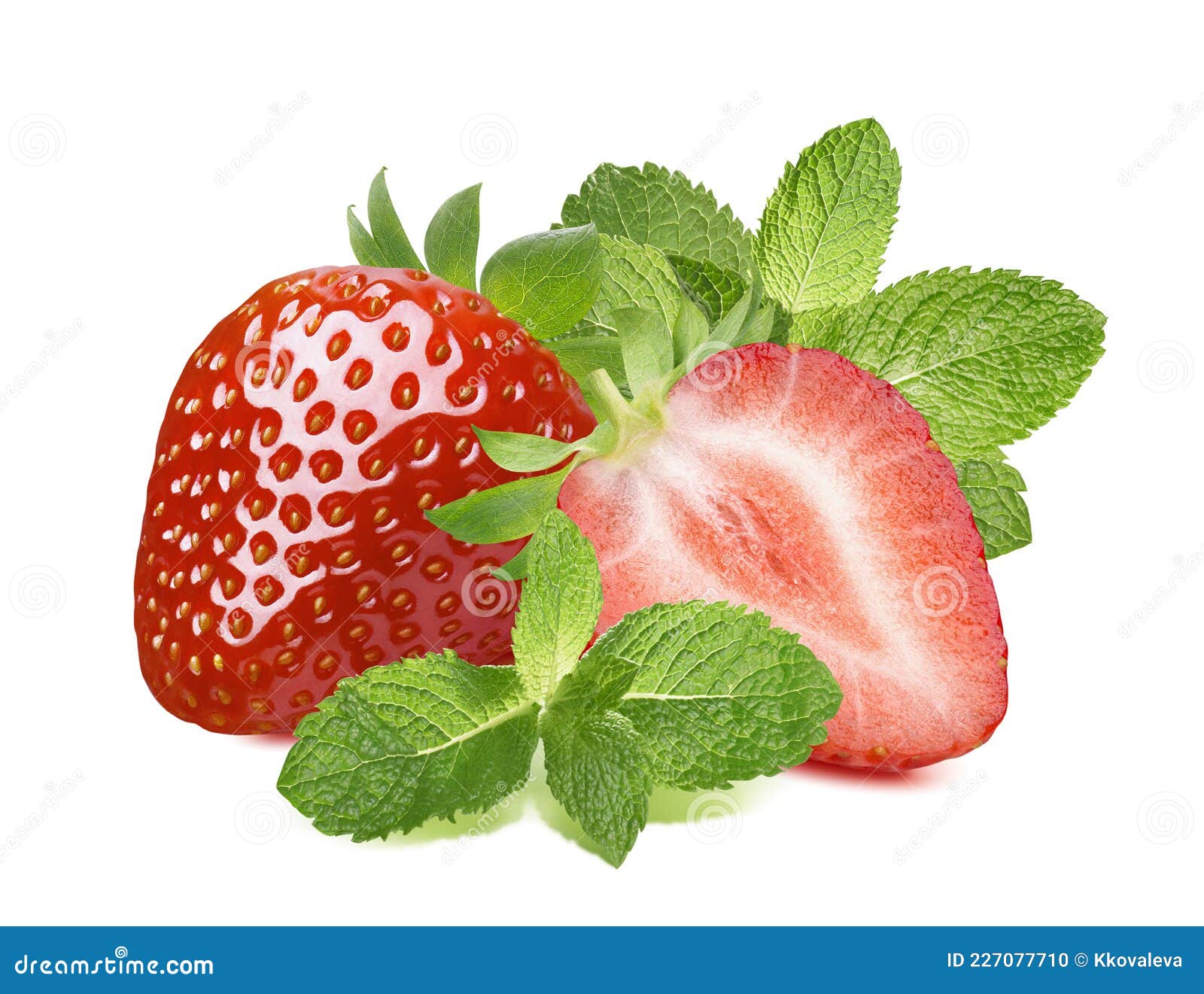 Fresh Mint Leaves and Strawberry Isolated on White Background Stock ...