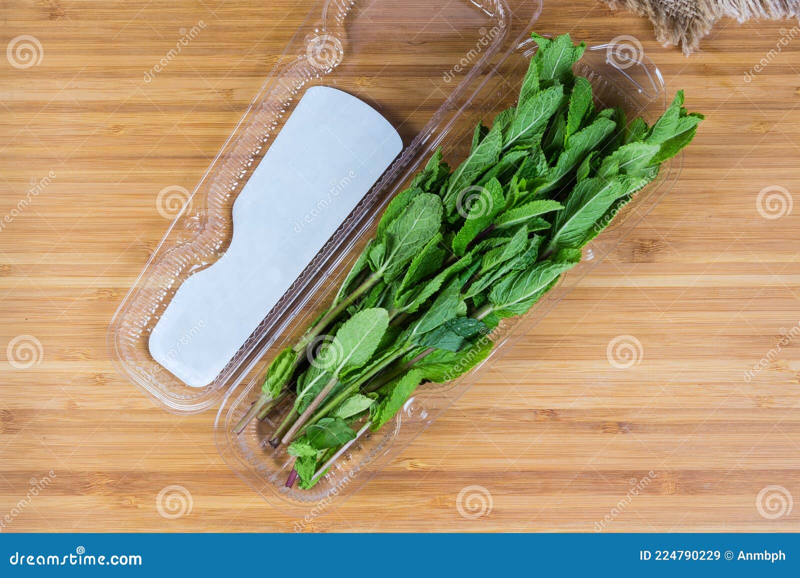 Fresh Mint in Open Small Plastic Container on Wooden Surface Stock ...