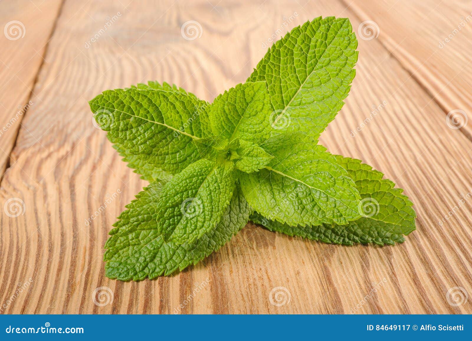 Fresh mint sprig stock image. Image of leaves, spice - 84649117