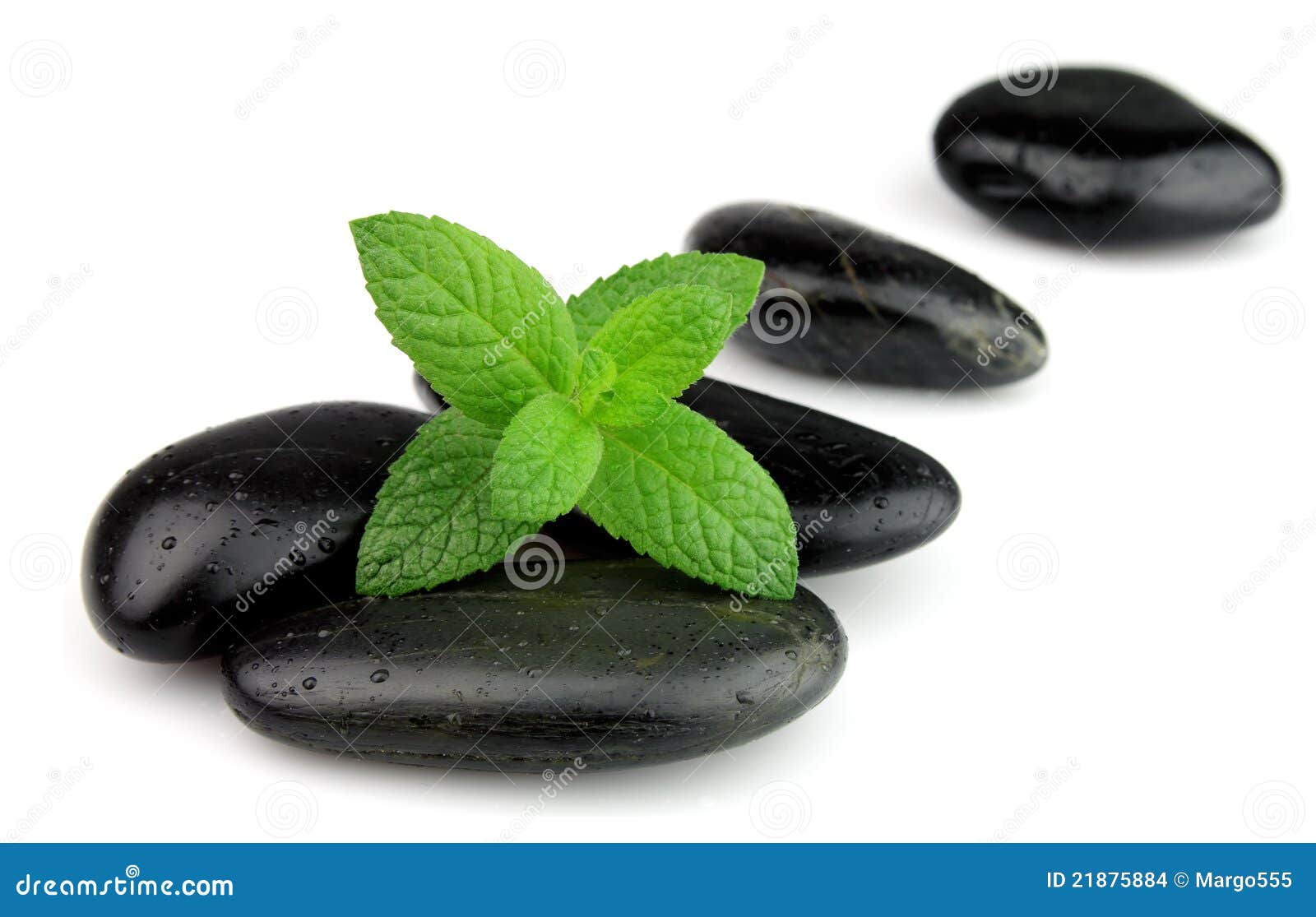 Fresh mint on the stones stock photo. Image of fresh - 21875884