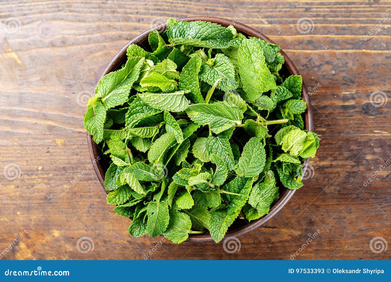 Fresh mint top view stock image. Image of mint, macro - 97533393