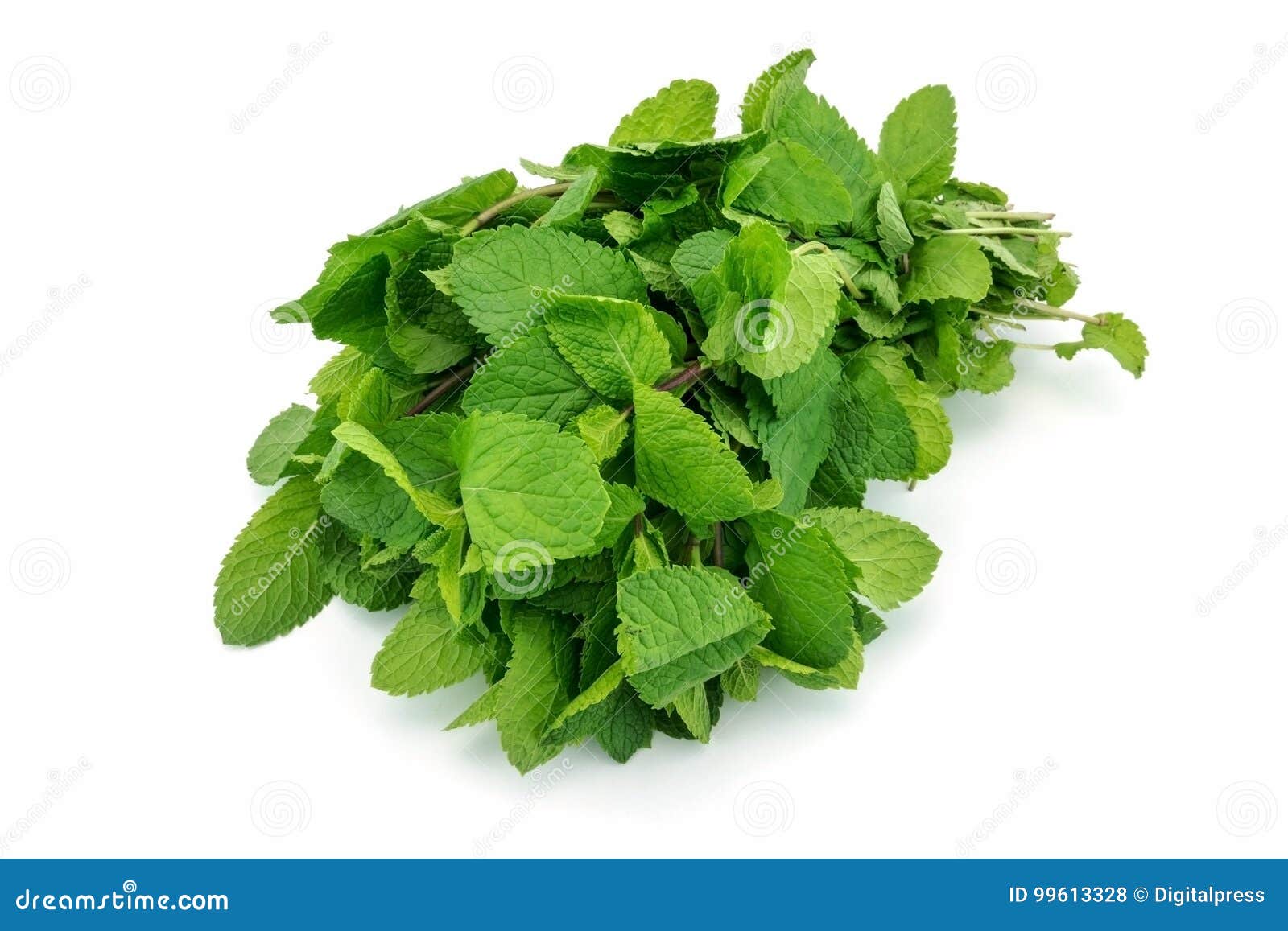 Fresh Mint on White Background Stock Photo - Image of white, flavor ...