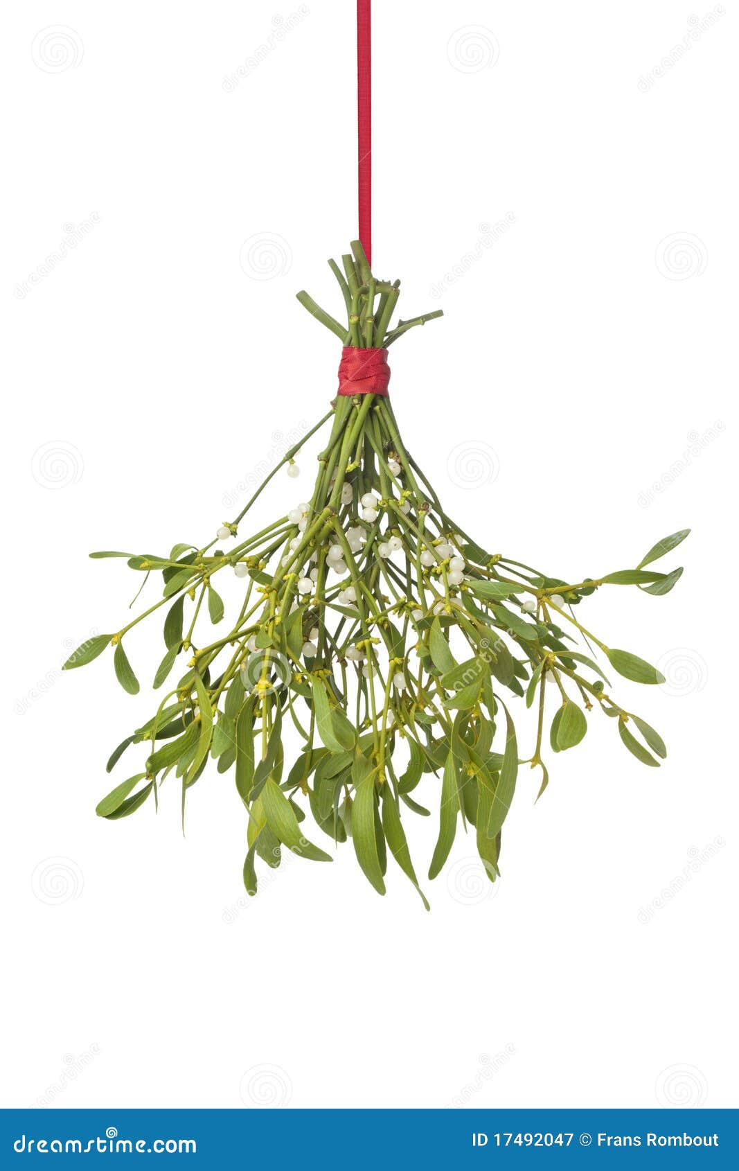 Hanging Christmas Mistletoe