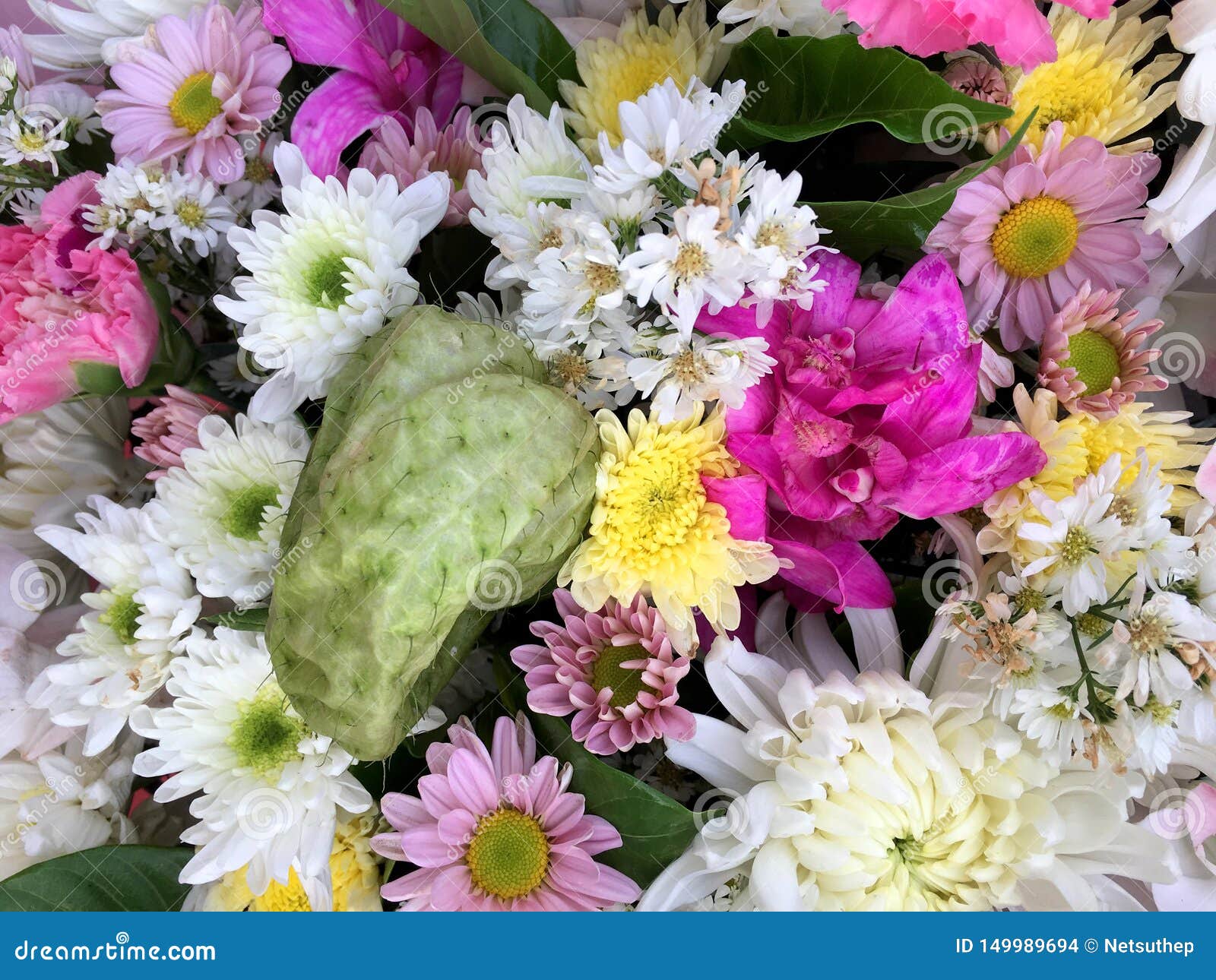 Fresh Mixed Flowers Decoration Stock Photo - Image of comfortable ...