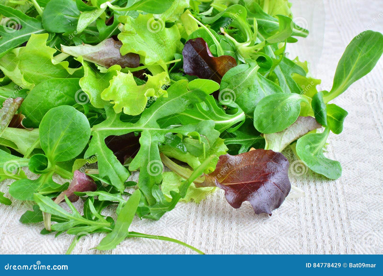 Fresh Mixed Greens Leaf Vegetables of Arugula, Mesclun, Mache Stock ...