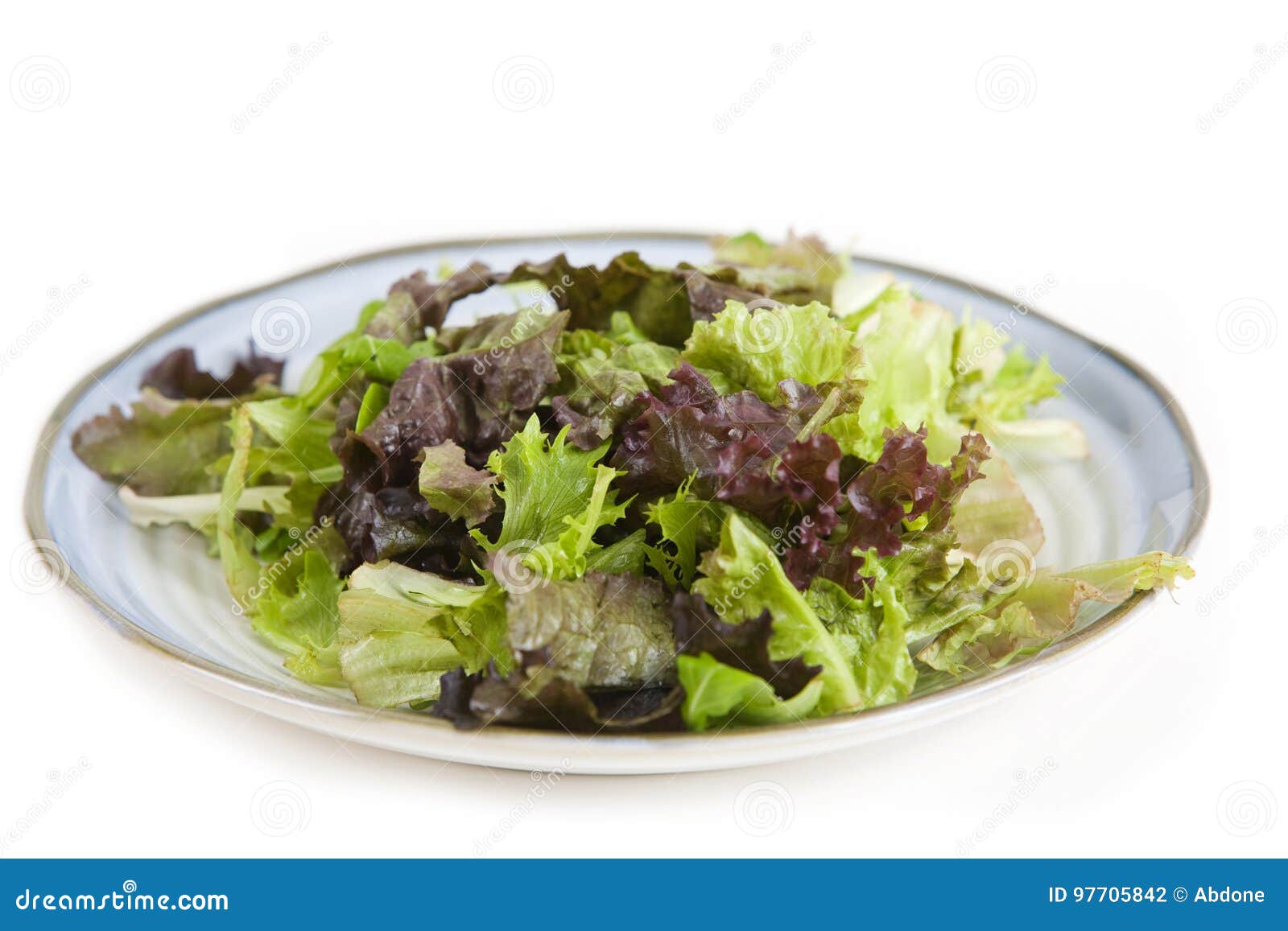 Fresh mixed lettuce stock photo. Image of vitamin, table - 97705842