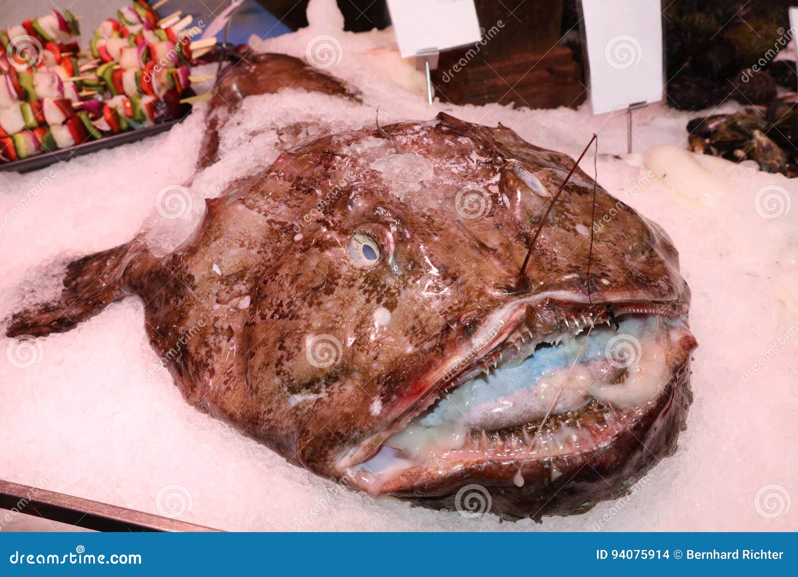 Fresh Monkfish on Fish Market Stock Photo - Image of market, fresh ...