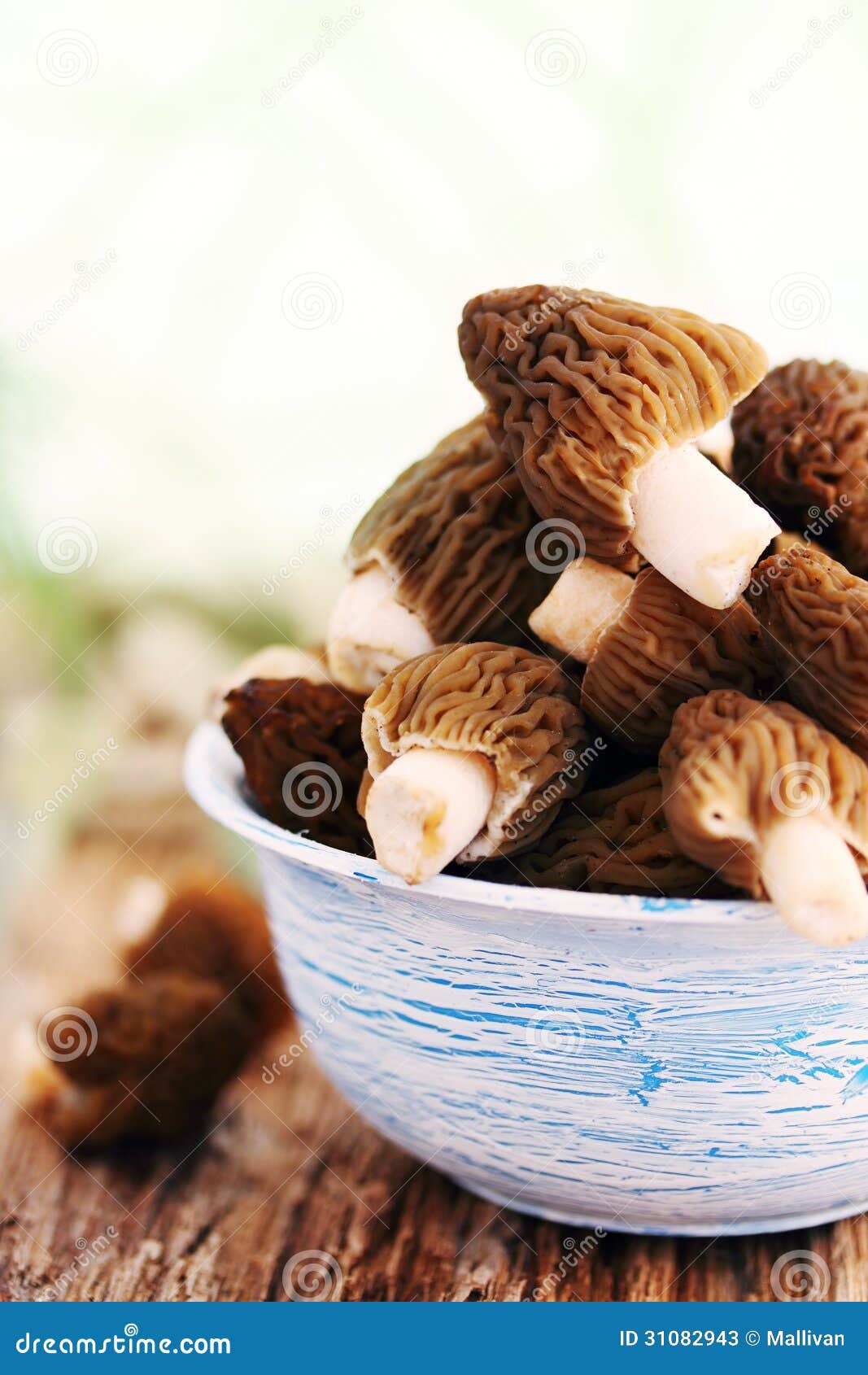 Fresh morel mushrooms stock image. Image of brown, freshness - 31082943