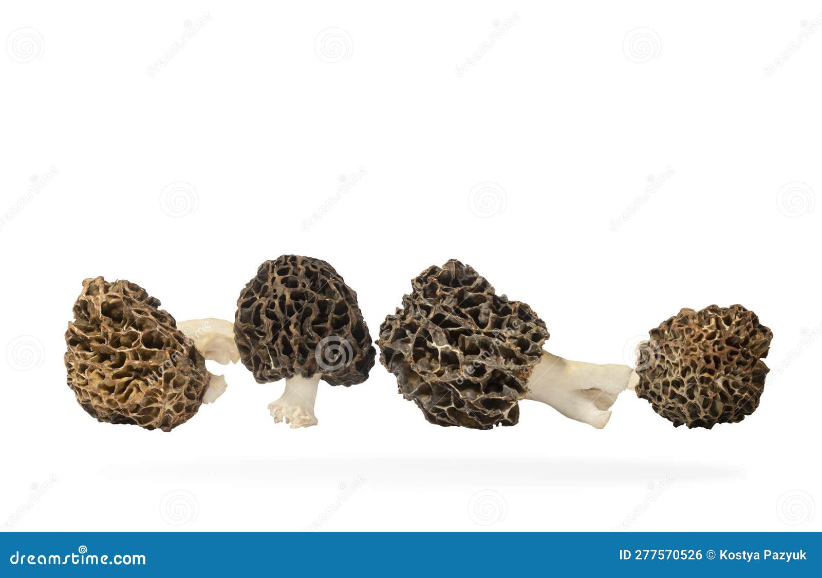 Fresh Morels Isolated on White Background Stock Photo - Image of ...