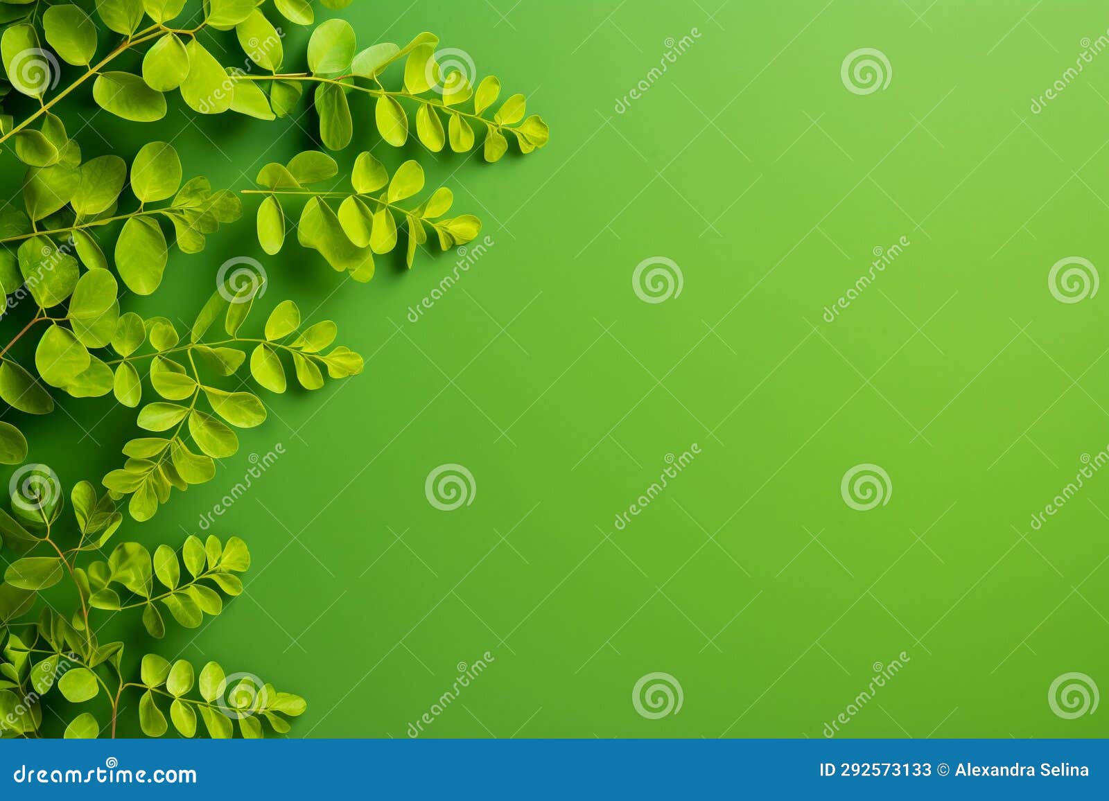 Fresh Moringa Leaves on Green Background. Top View with Copy Space. AI ...