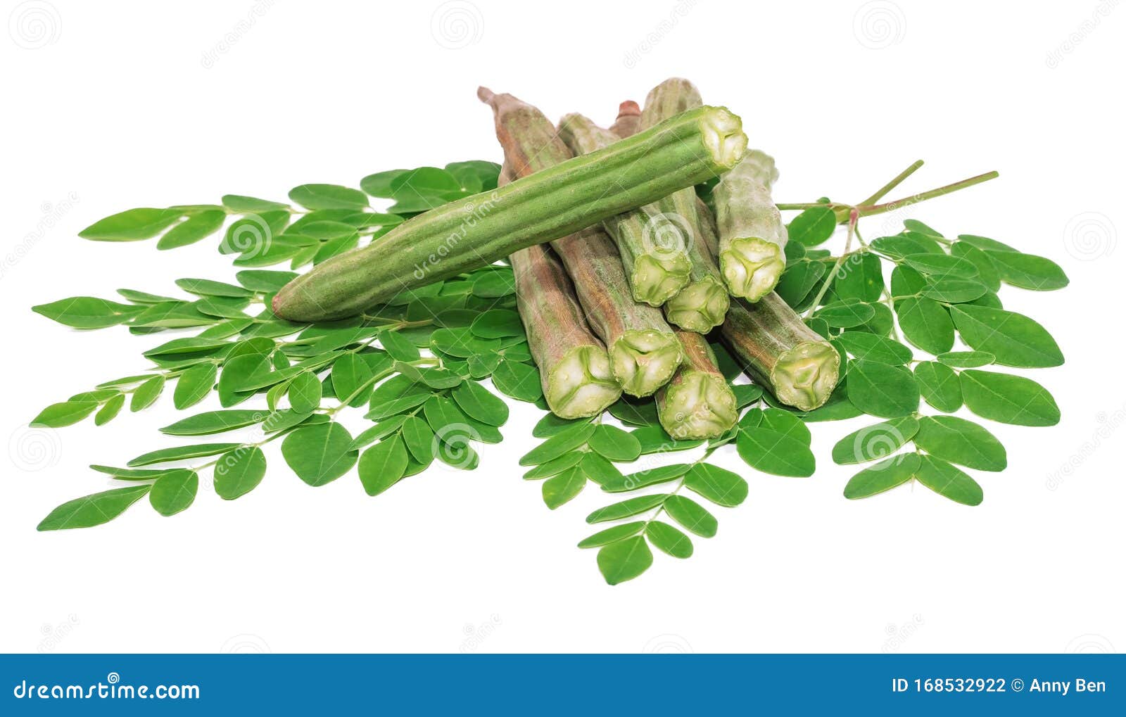Moringa Oleifera Isolated on White Background Stock Photo - Image of ...